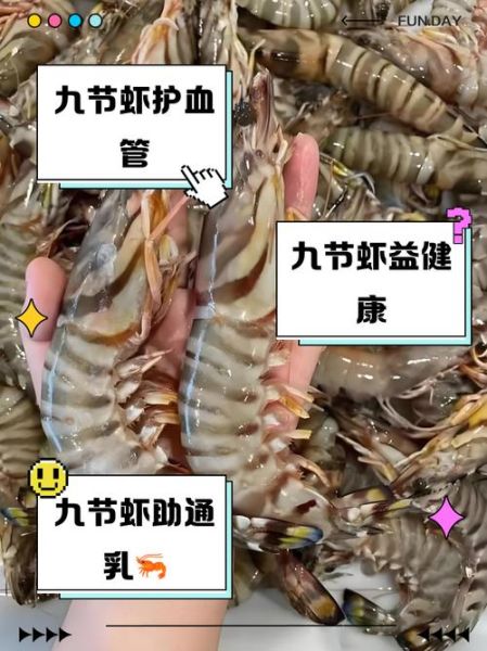 虾的营养价值与功效_虾吃多了会上火吗-第2张图片-山城妙识 虾的营养价值与功效_虾吃多了会上火吗-第2张图片-山城妙识