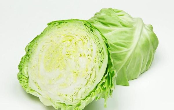 甘蓝菜和卷心菜的区别_哪个营养价值更高-第3张图片-山城妙识
