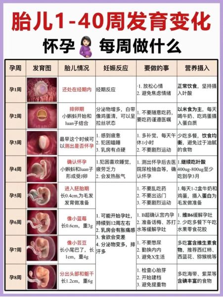 孕中期是几周到几周_孕中期注意事项-第1张图片-山城妙识 孕中期是几周到几周_孕中期注意事项-第1张图片-山城妙识