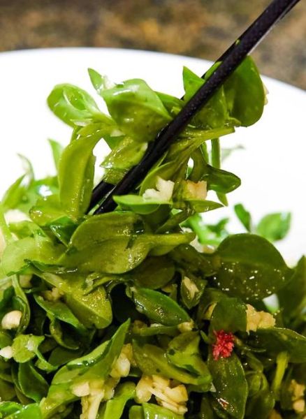 穿心莲怎么炒好吃_穿心莲凉拌做法大全-第2张图片-山城妙识 穿心莲怎么炒好吃_穿心莲凉拌做法大全-第2张图片-山城妙识