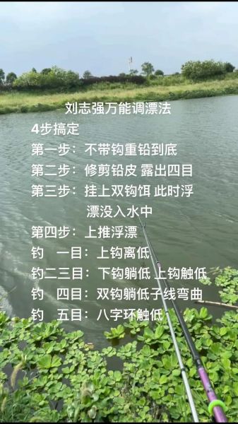 钓鳊鱼用什么饵料_钓鳊鱼怎么调漂-第2张图片-山城妙识