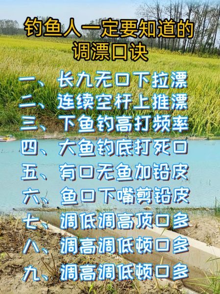 钓鳊鱼用什么饵料_钓鳊鱼怎么调漂-第3张图片-山城妙识