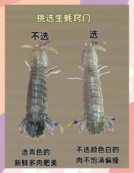 海鲜图片真实照片_如何辨别新鲜度-第2张图片-山城妙识 海鲜图片真实照片_如何辨别新鲜度-第2张图片-山城妙识