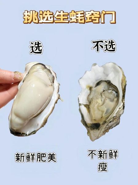 海鲜图片真实照片_如何辨别新鲜度-第1张图片-山城妙识 海鲜图片真实照片_如何辨别新鲜度-第1张图片-山城妙识