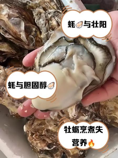 生蚝补肾是真的吗_生蚝能提高性功能吗-第2张图片-山城妙识 生蚝补肾是真的吗_生蚝能提高性功能吗-第2张图片-山城妙识
