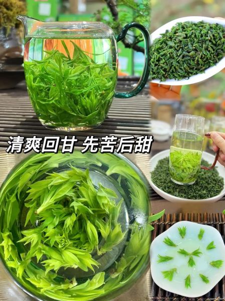 小叶苦丁茶的功效与作用_小叶苦丁茶能减肥吗-第1张图片-山城妙识 小叶苦丁茶的功效与作用_小叶苦丁茶能减肥吗-第1张图片-山城妙识