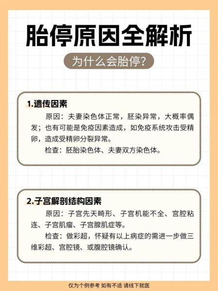 胎停最明显的4个征兆_胎停前兆有哪些-第2张图片-山城妙识