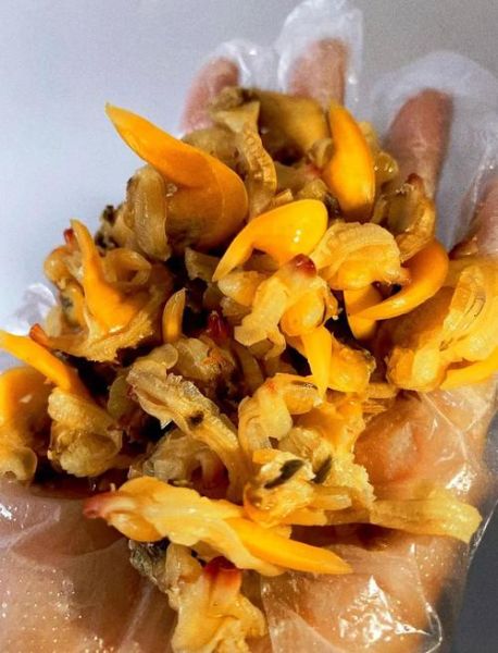 蚬子干怎么泡发_蚬子干的家常做法图解-第1张图片-山城妙识 蚬子干怎么泡发_蚬子干的家常做法图解-第1张图片-山城妙识