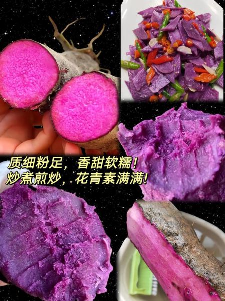 紫山药怎么吃_紫山药的家常做法-第3张图片-山城妙识 紫山药怎么吃_紫山药的家常做法-第3张图片-山城妙识