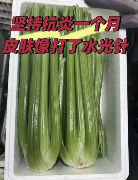 榨芹菜汁要加水吗_芹菜汁要不要加水-第1张图片-山城妙识 榨芹菜汁要加水吗_芹菜汁要不要加水-第1张图片-山城妙识