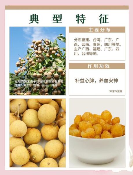 桂圆的功效与作用_孕妇能吃桂圆吗-第3张图片-山城妙识