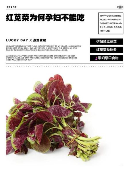 红苋菜的功效与作用_孕妇能吃红苋菜吗-第2张图片-山城妙识 红苋菜的功效与作用_孕妇能吃红苋菜吗-第2张图片-山城妙识