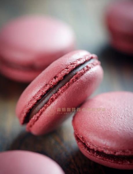 新手如何制作法式马卡龙_马卡龙失败原因有哪些-第1张图片-山城妙识 新手如何制作法式马卡龙_马卡龙失败原因有哪些-第1张图片-山城妙识