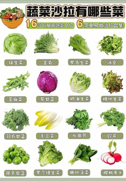 100种蔬菜图片大全_如何快速识别常见蔬菜-第2张图片-山城妙识 100种蔬菜图片大全_如何快速识别常见蔬菜-第2张图片-山城妙识