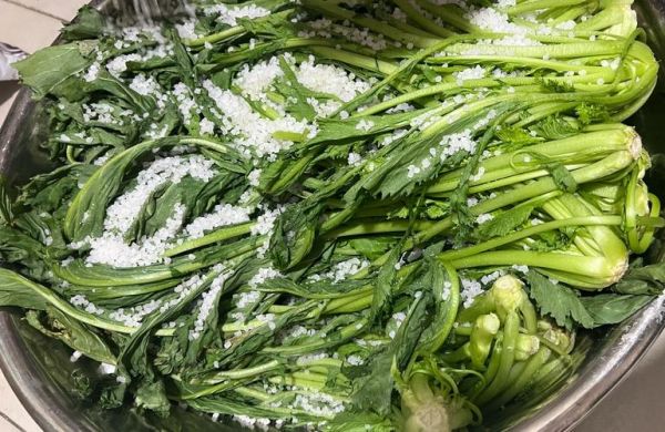 雪里蕻什么时候种_雪里蕻怎么种才高产-第2张图片-山城妙识