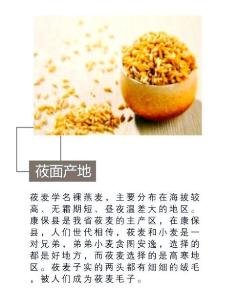 莜怎么读拼音_莜麦与莜面的区别-第3张图片-山城妙识 莜怎么读拼音_莜麦与莜面的区别-第3张图片-山城妙识