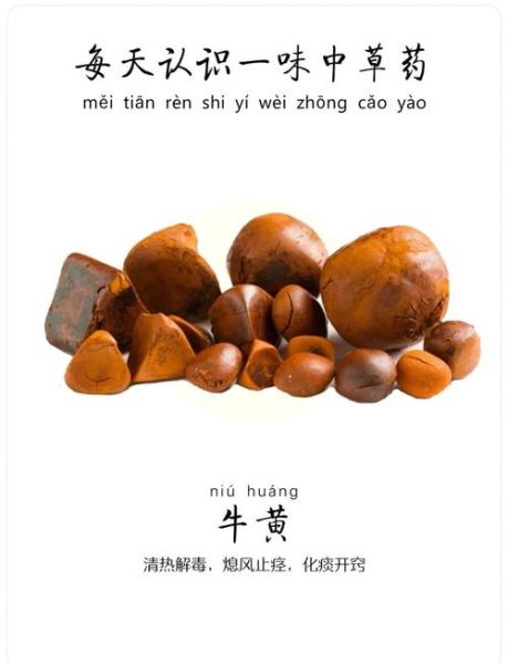牛黄是什么_牛黄有哪些功效与作用-第1张图片-山城妙识 牛黄是什么_牛黄有哪些功效与作用-第1张图片-山城妙识