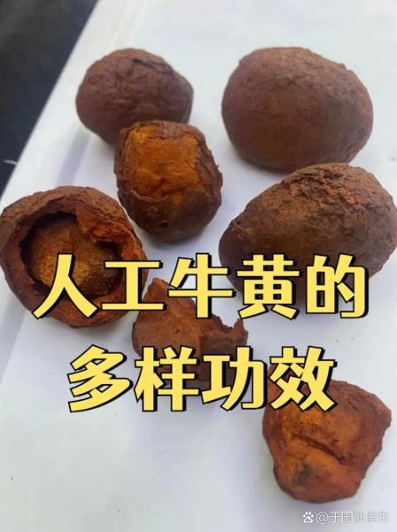 牛黄是什么_牛黄有哪些功效与作用-第3张图片-山城妙识 牛黄是什么_牛黄有哪些功效与作用-第3张图片-山城妙识