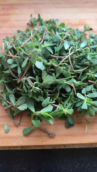 马芷菜是什么_马芷菜怎么吃-第1张图片-山城妙识 马芷菜是什么_马芷菜怎么吃-第1张图片-山城妙识