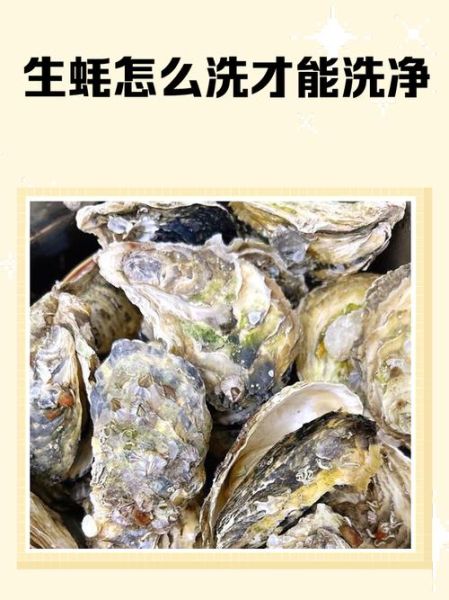 生蚝怎么清洗才干净_生蚝清洗步骤图解-第2张图片-山城妙识 生蚝怎么清洗才干净_生蚝清洗步骤图解-第2张图片-山城妙识