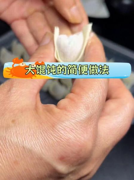 馄饨怎么包_馄饨包法视频教程-第2张图片-山城妙识 馄饨怎么包_馄饨包法视频教程-第2张图片-山城妙识