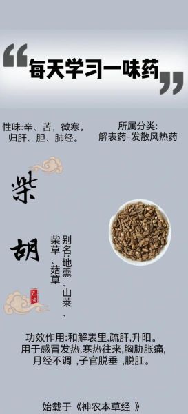 柴胡的功效与作用_柴胡疏肝解郁怎么吃-第1张图片-山城妙识 柴胡的功效与作用_柴胡疏肝解郁怎么吃-第1张图片-山城妙识