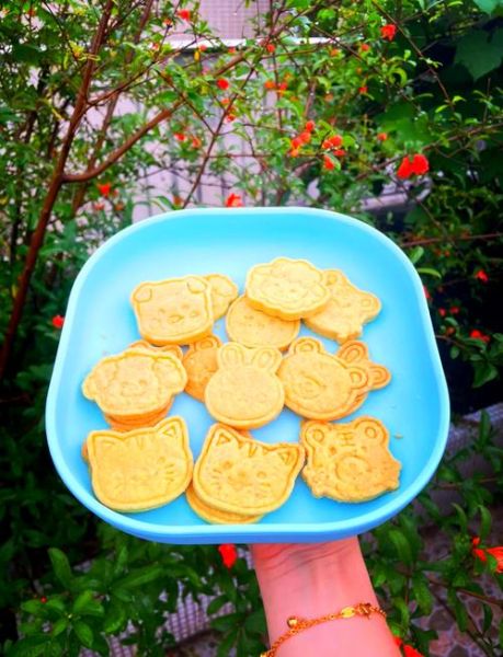 自制婴儿饼干简单做法_无添加配方-第1张图片-山城妙识 自制婴儿饼干简单做法_无添加配方-第1张图片-山城妙识