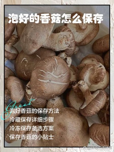 冬菇怎么泡发_冬菇和香菇的区别-第2张图片-山城妙识