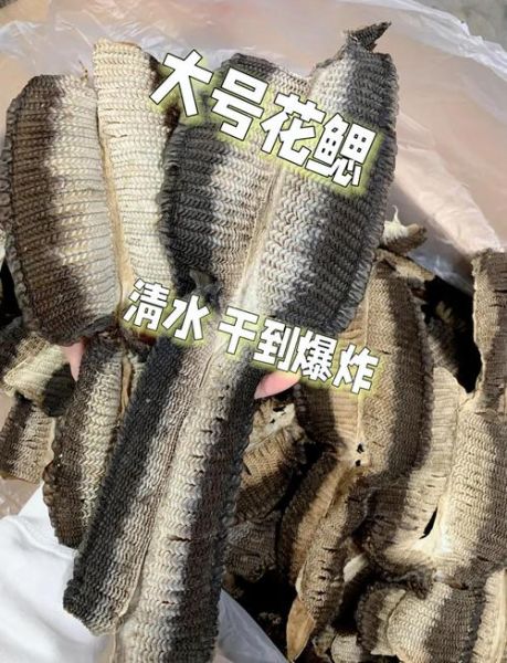 膨鱼鳃适合什么人吃_孕妇能吃膨鱼鳃吗-第3张图片-山城妙识 膨鱼鳃适合什么人吃_孕妇能吃膨鱼鳃吗-第3张图片-山城妙识