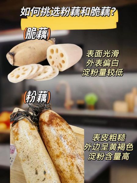 莲藕图片大全高清图片_莲藕怎么挑选最新鲜-第1张图片-山城妙识 莲藕图片大全高清图片_莲藕怎么挑选最新鲜-第1张图片-山城妙识