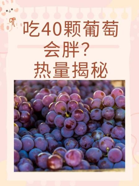 葡萄的热量是多少_减肥能吃葡萄吗-第2张图片-山城妙识 葡萄的热量是多少_减肥能吃葡萄吗-第2张图片-山城妙识