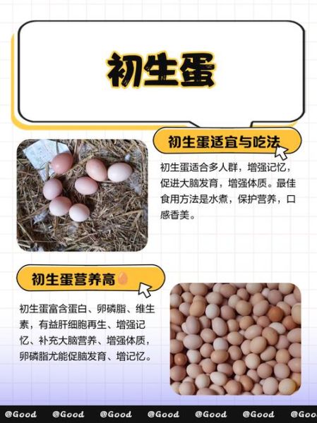 鸡蛋的营养价值有哪些_鸡蛋的功效与作用是什么-第3张图片-山城妙识 鸡蛋的营养价值有哪些_鸡蛋的功效与作用是什么-第3张图片-山城妙识
