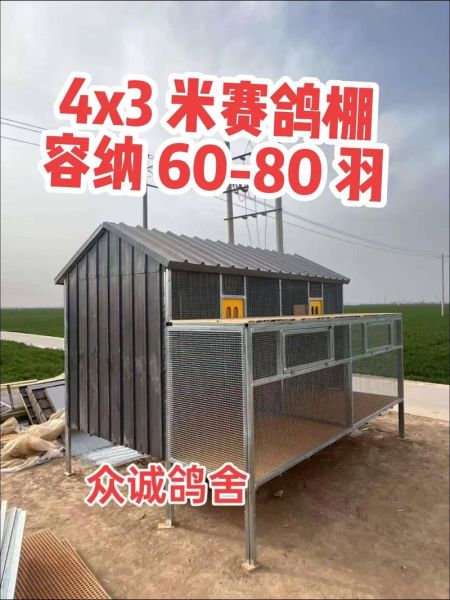 鸽子笼图片_如何挑选合适的鸽舍-第1张图片-山城妙识 鸽子笼图片_如何挑选合适的鸽舍-第1张图片-山城妙识