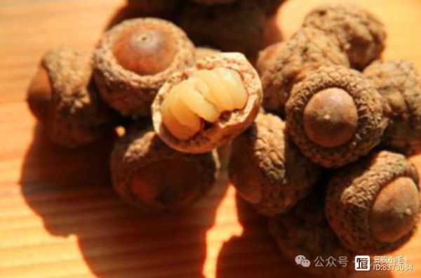 男人吃什么坚果壮阳_哪些坚果提高性功能-第3张图片-山城妙识 男人吃什么坚果壮阳_哪些坚果提高性功能-第3张图片-山城妙识