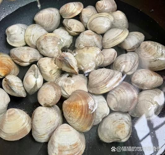 花甲补肾吗_花甲对肾虚有帮助吗-第3张图片-山城妙识