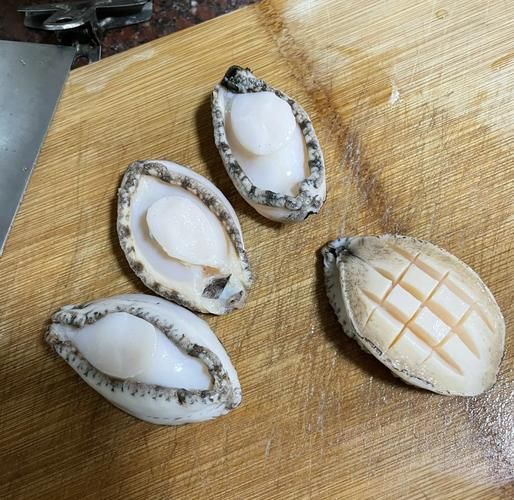 清蒸粉丝鲍鱼怎么做_鲍鱼蒸多久才嫩-第3张图片-山城妙识 清蒸粉丝鲍鱼怎么做_鲍鱼蒸多久才嫩-第3张图片-山城妙识