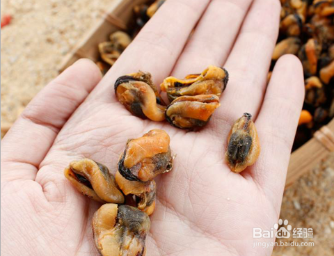 买回来的淡菜干怎么清洗_淡菜干清洗步骤-第2张图片-山城妙识 买回来的淡菜干怎么清洗_淡菜干清洗步骤-第2张图片-山城妙识
