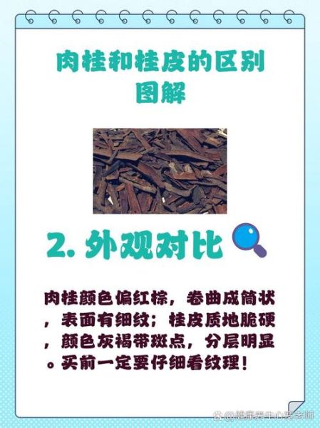肉桂和桂皮的区别是什么_哪个更适合炖肉-第1张图片-山城妙识 肉桂和桂皮的区别是什么_哪个更适合炖肉-第1张图片-山城妙识