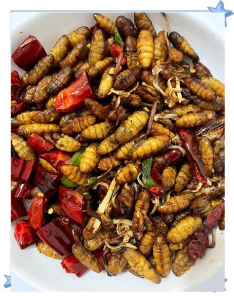 炒蚕蛹怎么做好吃_家常炒蚕蛹的窍门-第2张图片-山城妙识 炒蚕蛹怎么做好吃_家常炒蚕蛹的窍门-第2张图片-山城妙识