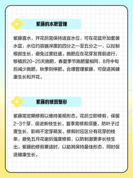 紫藤怎么养_紫藤花什么时候开-第2张图片-山城妙识 紫藤怎么养_紫藤花什么时候开-第2张图片-山城妙识