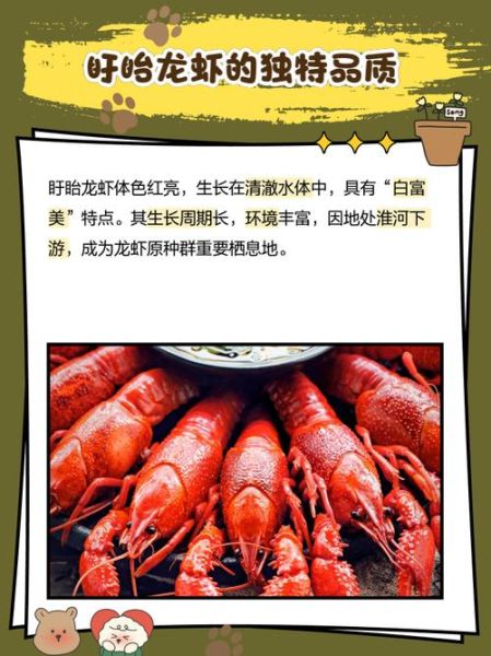 盱眙小龙虾为什么出名_盱眙小龙虾特色是什么-第2张图片-山城妙识 盱眙小龙虾为什么出名_盱眙小龙虾特色是什么-第2张图片-山城妙识