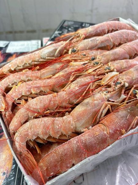 阿根廷红虾多少钱一斤_阿根廷红虾价格走势-第2张图片-山城妙识 阿根廷红虾多少钱一斤_阿根廷红虾价格走势-第2张图片-山城妙识