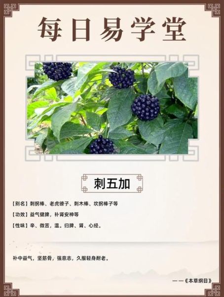 黑豆黑米粥的做法_黑豆黑米粥怎么煮才软糯-第1张图片-山城妙识 黑豆黑米粥的做法_黑豆黑米粥怎么煮才软糯-第1张图片-山城妙识