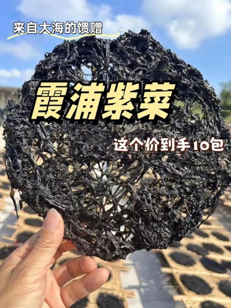 紫菜吃多了有什么副作用_紫菜过敏症状有哪些-第2张图片-山城妙识 紫菜吃多了有什么副作用_紫菜过敏症状有哪些-第2张图片-山城妙识