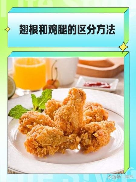 鸡翅根是哪个部位_鸡翅根和鸡腿的区别-第1张图片-山城妙识 鸡翅根是哪个部位_鸡翅根和鸡腿的区别-第1张图片-山城妙识