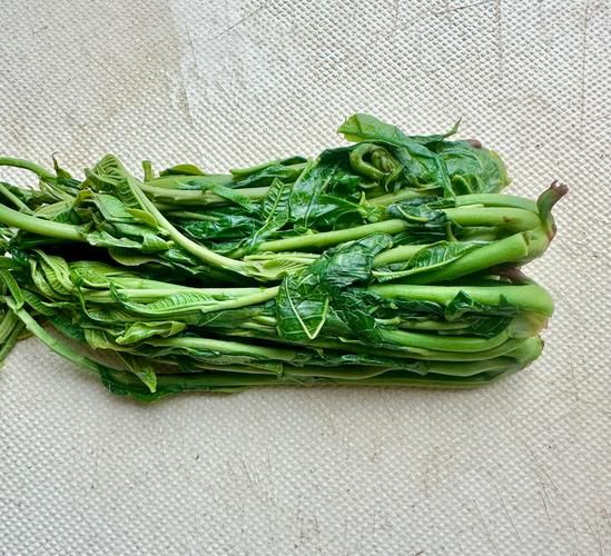 凉拌香椿芽怎么做才好吃_香椿芽焯水几分钟才正确-第1张图片-山城妙识 凉拌香椿芽怎么做才好吃_香椿芽焯水几分钟才正确-第1张图片-山城妙识