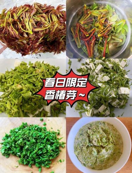 凉拌香椿芽怎么做才好吃_香椿芽焯水几分钟才正确-第2张图片-山城妙识 凉拌香椿芽怎么做才好吃_香椿芽焯水几分钟才正确-第2张图片-山城妙识