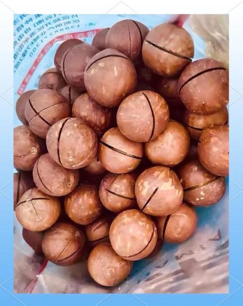 夏威夷果一天吃几个_吃多了会胖吗-第1张图片-山城妙识 夏威夷果一天吃几个_吃多了会胖吗-第1张图片-山城妙识