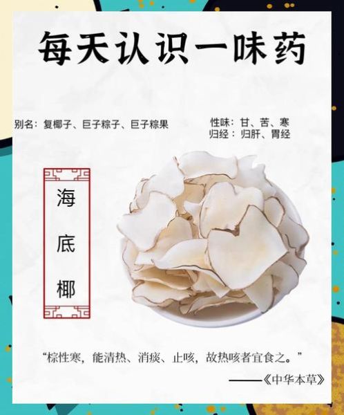 海底椰片的功效与作用_海底椰片怎么煲汤-第1张图片-山城妙识 海底椰片的功效与作用_海底椰片怎么煲汤-第1张图片-山城妙识