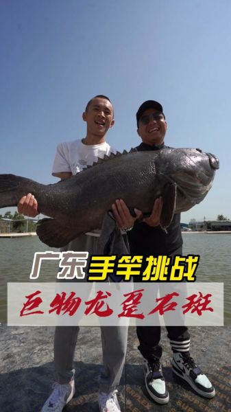 龙趸鱼活体多少钱一斤_龙趸鱼活体怎么挑选-第3张图片-山城妙识 龙趸鱼活体多少钱一斤_龙趸鱼活体怎么挑选-第3张图片-山城妙识